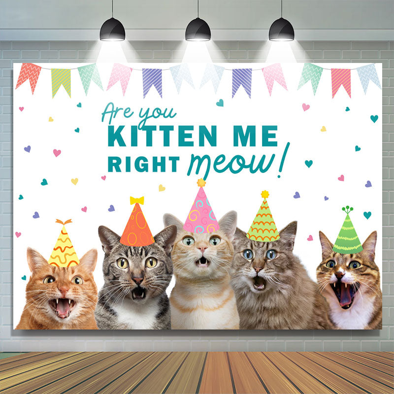 Are You Kitten Me Right Meow Cats Birthday Backdrop - Lofaris