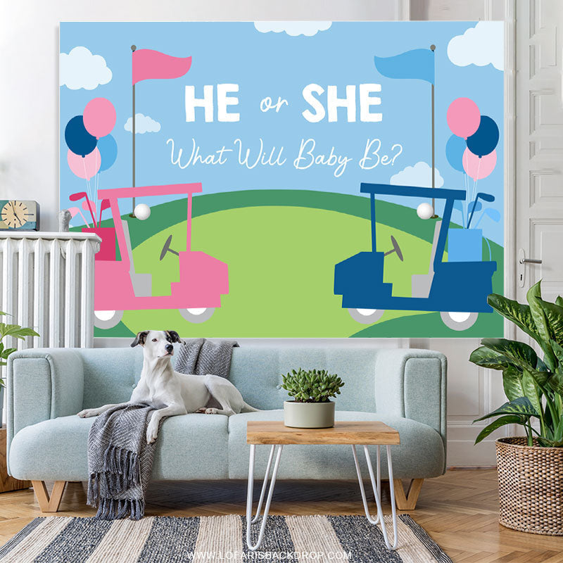 Blue And Pink Bike He Or She Baby Shower Backdrops – Lofaris
