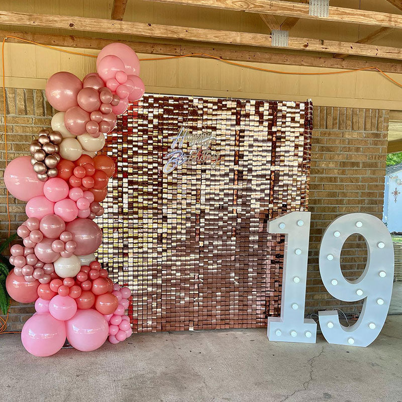 Lofaris Photo Booth Sequin Backdrop Shimmer Panels For Anniversary Proposal